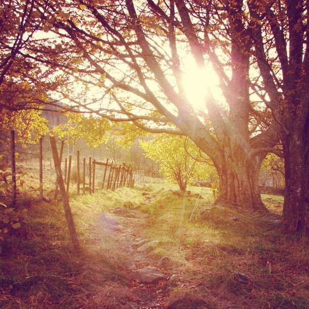 fancyBox - Fancy jQuery Lightbox Alternative | Demonstration